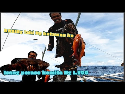 Vlog #591 Halimaw sa lakas #Philippines#spearfishing - YouTube
