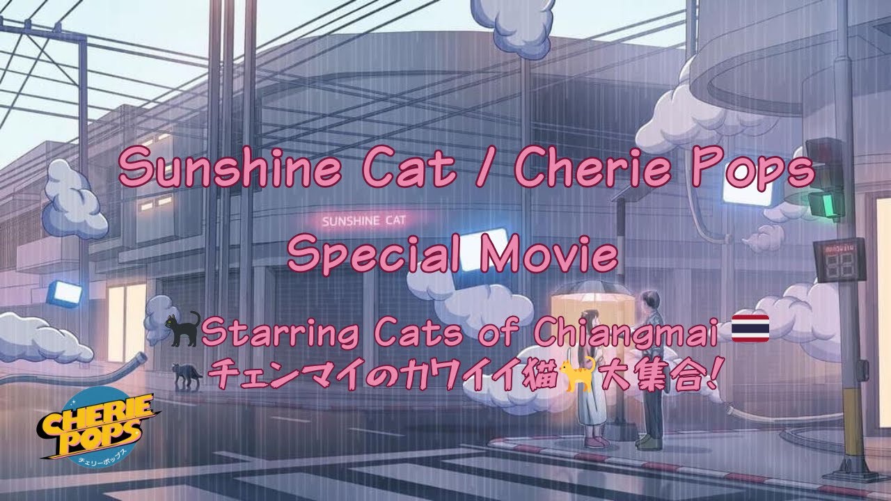 [Special Movie] Sunshine Cat/ Cherie Pops - Starring Cats of Chiangmai ...