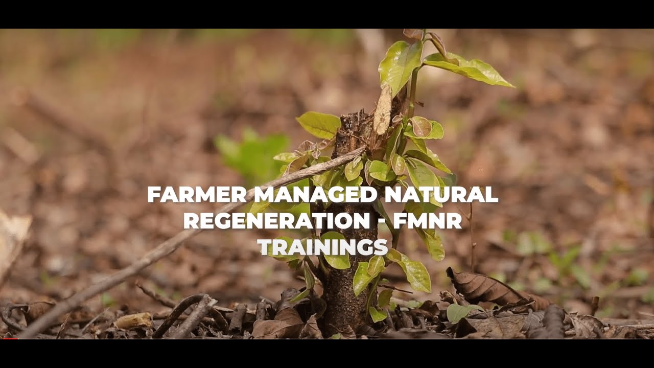 PCF - FMNR Documentary Migori Kenya - YouTube
