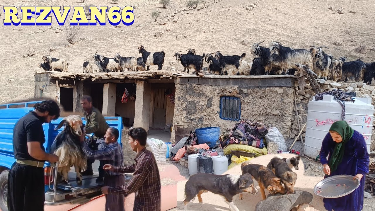 Struggles and Fortitude: Rezvaneh’s Resistance to Providing for Her ...