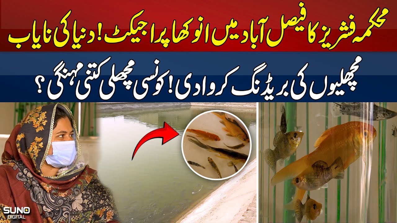 Faisalabad Me Anokha Project! | Fish Farm Me Duniya Ki Mehangi Tareen ...