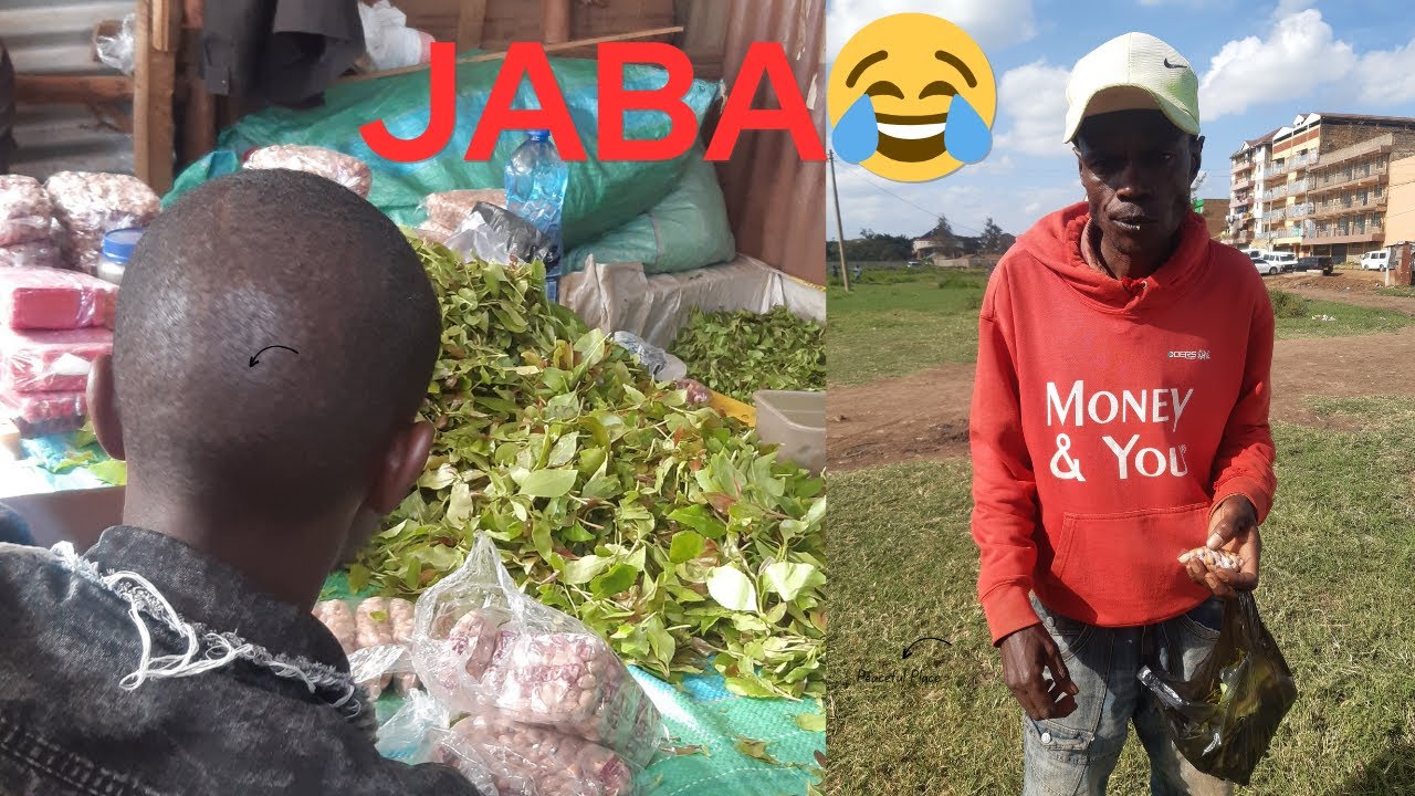 Muguka/Khat/Miraa Business In Kenya- What are the "Benefits" of Mugaka ...
