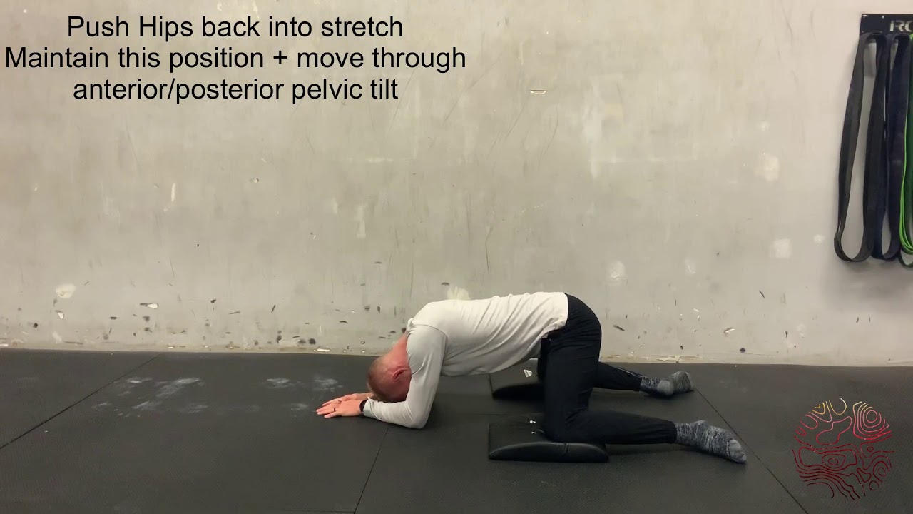 Frog Stretch Pelvic Tilt - YouTube