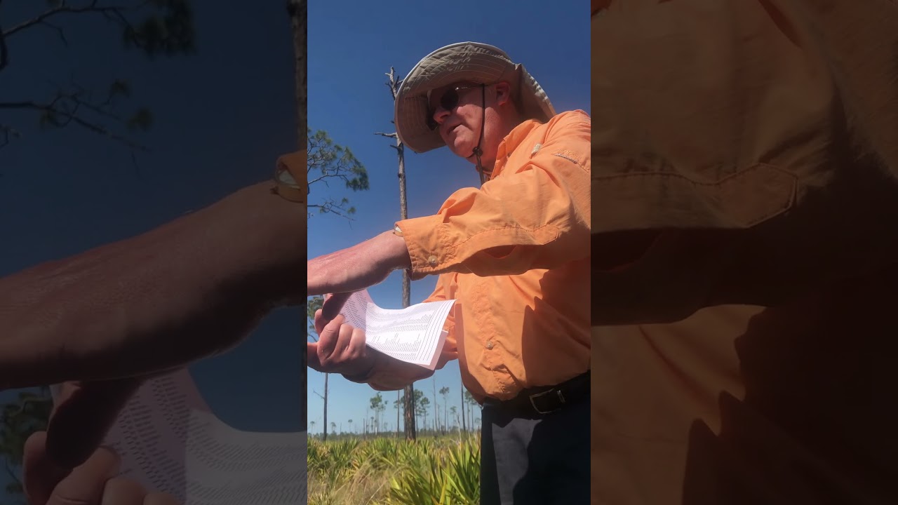 Edwin Bridges Lake Wales Ridge State Forest rough footage - YouTube