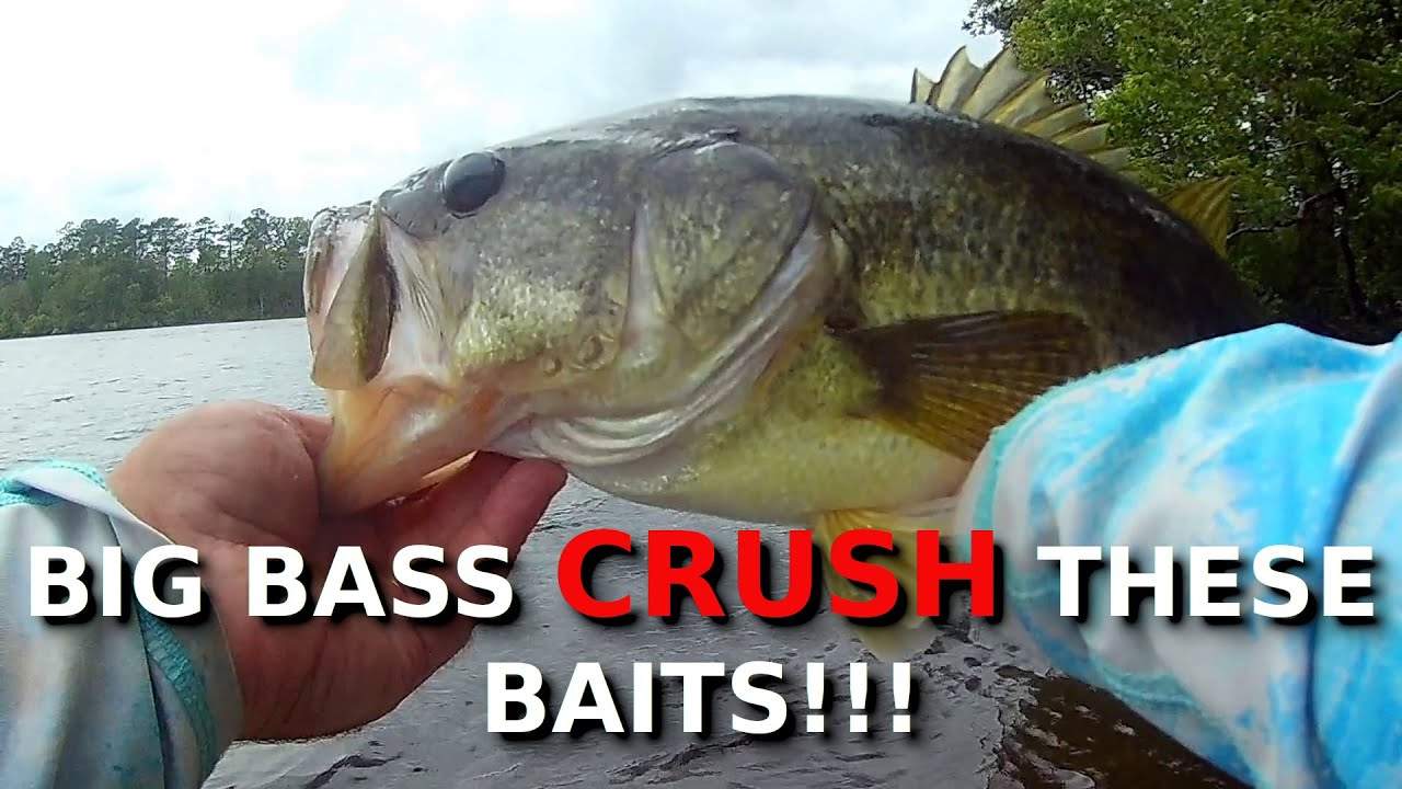 My SECRET WEAPON Lure For Late Summer Fishing!!!! - YouTube