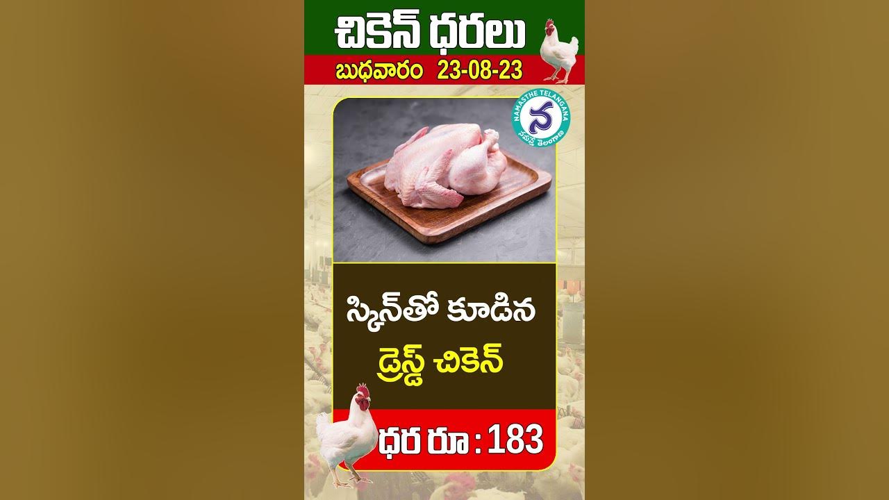 Chicken Rate 23 08 2023 Today Chicken Price In Hyderabad Chicken chicken-rate-23-08-2023-today-chicken-price-in-hyderabad-chicken