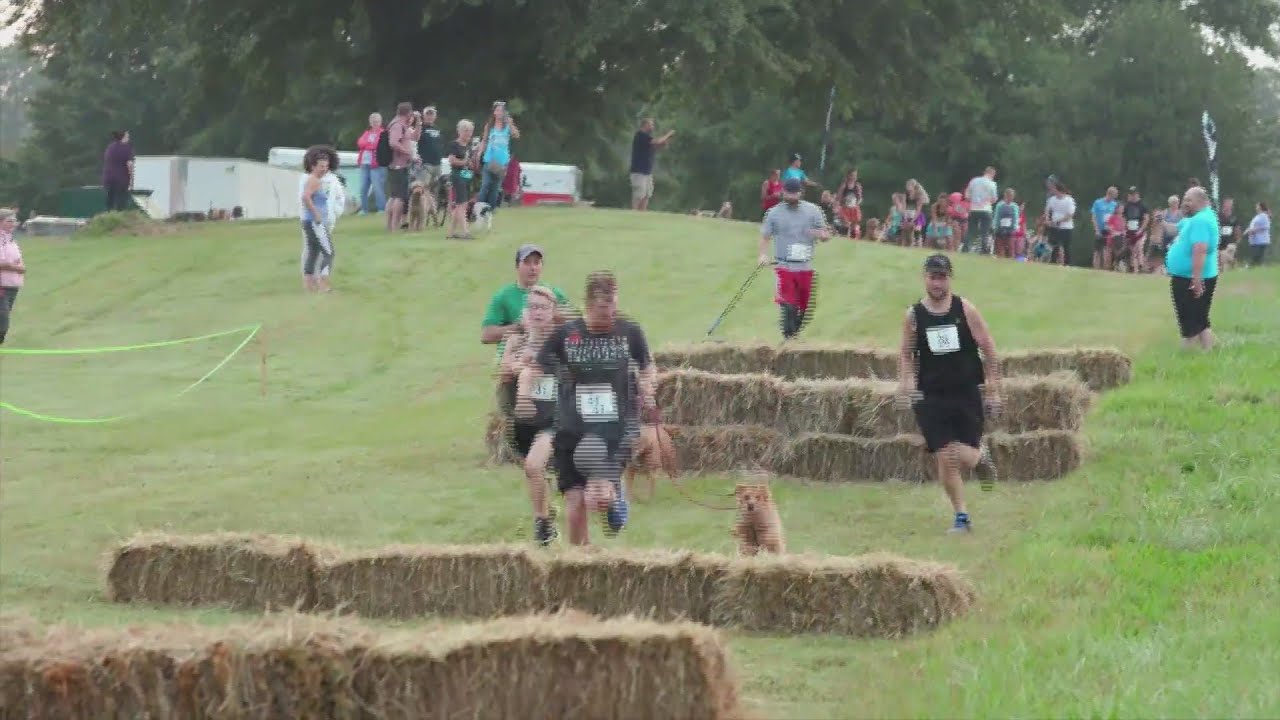 UltiMutt Race - Fun Obstacle Course Race Series For You And Your Dog ...