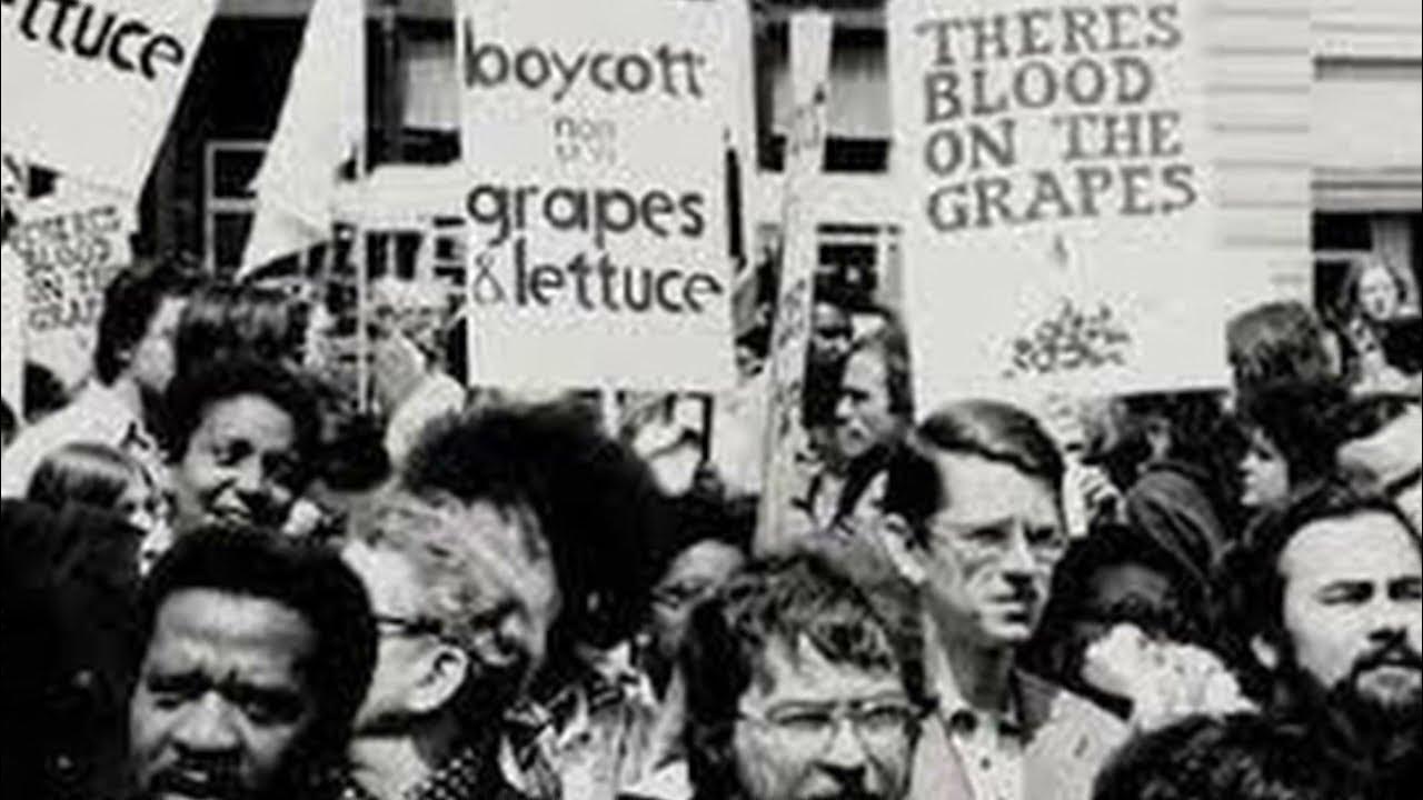 History Civil Rights Project - The United Farm Worker's Movement - YouTube
