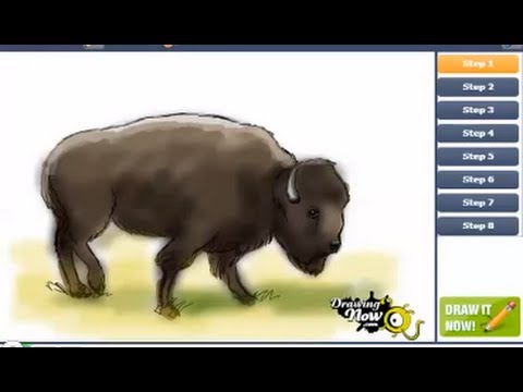 How to draw a buffalo - YouTube