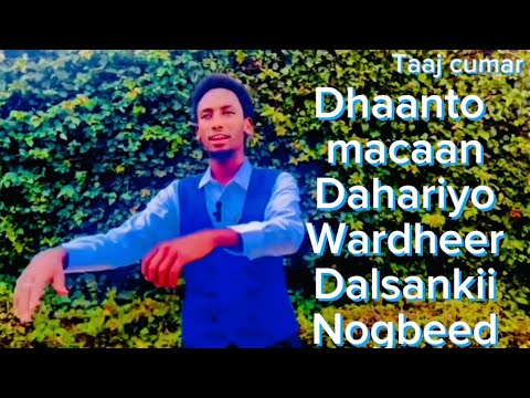 Dhaanto macaan dahariyo wardheer dalsankii nogbeed - YouTube