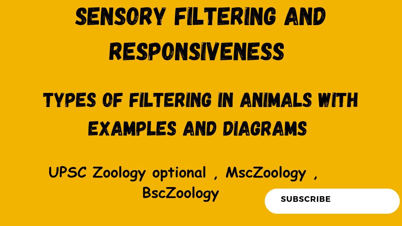 Sensory filtering and responsiveness in animals - YouTube