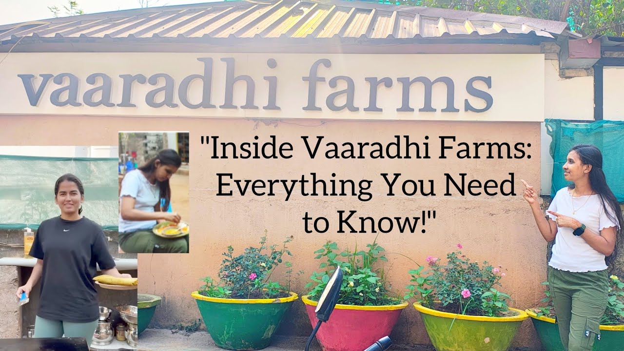 Vaaradhi Farms Tiffins | Vaaradhi Farms Nethra | Vaaradhi farms store ...