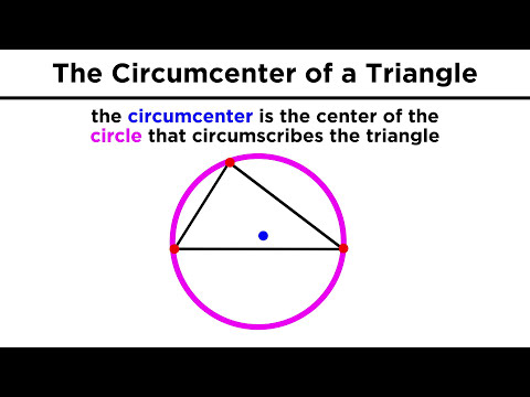 Special Lines in Triangles: Bisectors, Medians, and Altitudes
