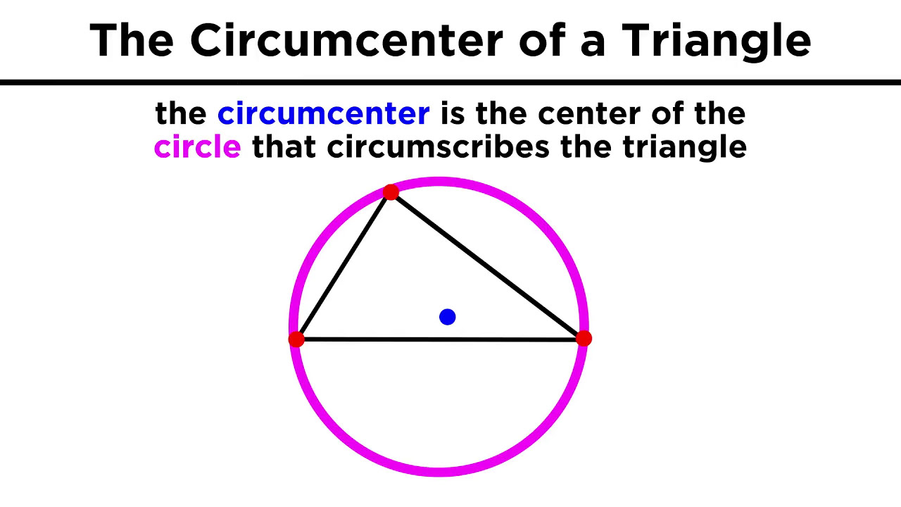 Unlock Triangle Secrets: Segments and Centers Made Easy! 📐 - Sciencefix ...