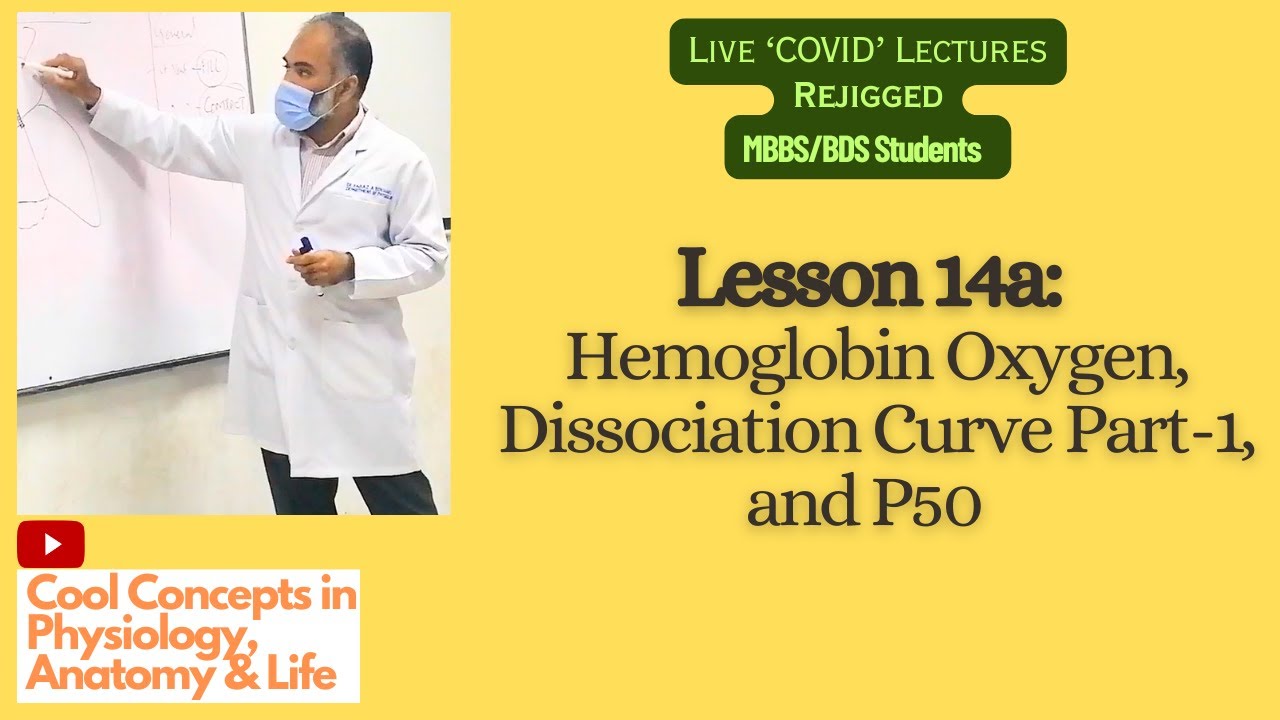 17. Hemoglobin Oxygen Dissociation Curve Part-1 | P50 | 1st Year MBBS ...