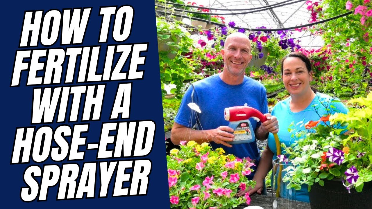 How to FERTILIZE with a Hose-End Sprayer - YouTube