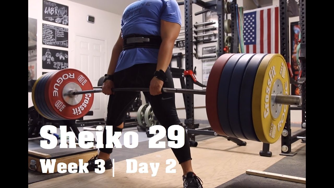 Q and A | My Job | Competition Goals | Sheiko 29 - YouTube