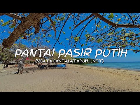 TEMPAT WISATA NTT PANTAI PASIR PUTIH ATAPUPU, ATAMBUA || 2022 RAGAM ...