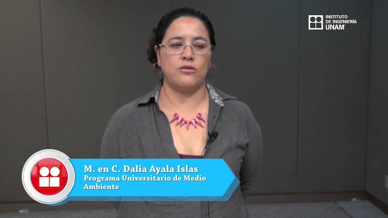 Entrevista a la MC Dalia Ayala Islas - YouTube