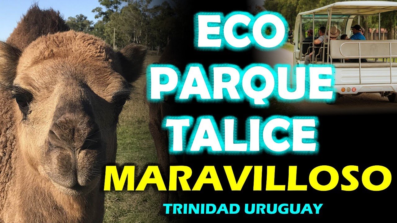 PARQUE TALICE UN LUGAR DE ENSUEÑO - TRINIDAD URUGUAY - YouTube