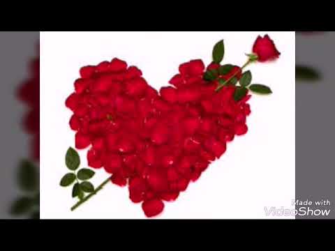 Cavid Aghayeff- Sevənlər üçün sevgi şeiri