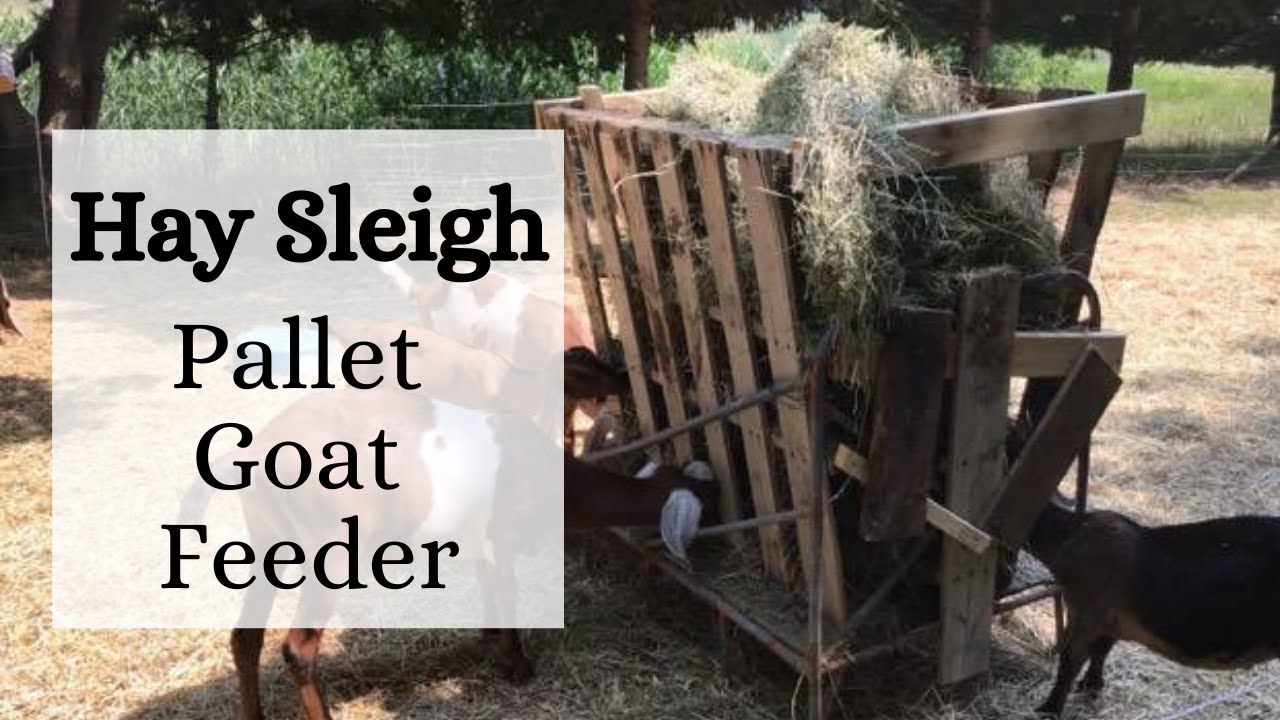 Hay Sleigh Pallet Goat Feeder - YouTube
