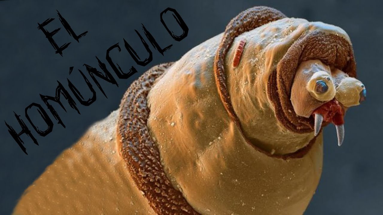 Youtuber ruso crea un homúnculo - YouTube