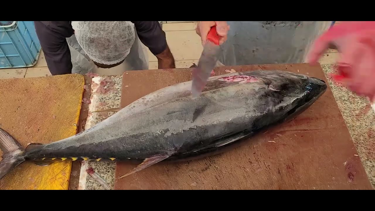 Beauty of Fire Fish Cutting|| Tuna Fish Cutting|| Amazing Fire Fish ...