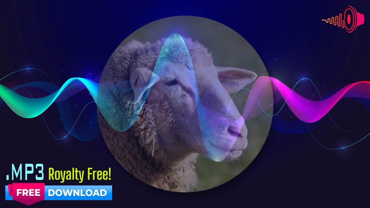 Sheep Animal Baaing Bleating Voice Noise Sound Effect Audio - YouTube