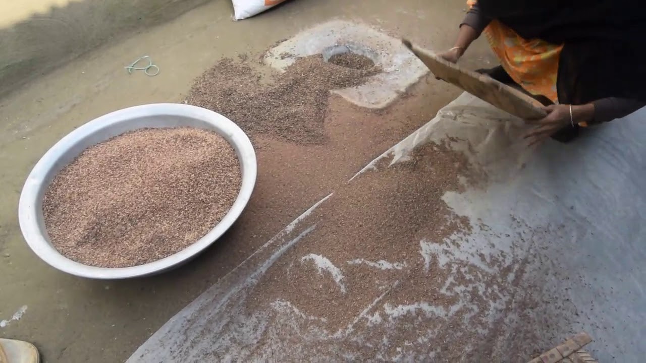 Red Rice Dheki Chata - YouTube