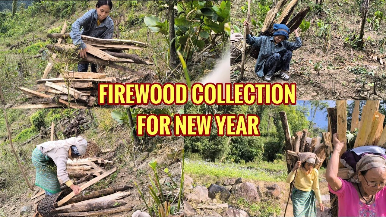 Firewood collection for new year ! ! Village Life Daily vlogs - YouTube