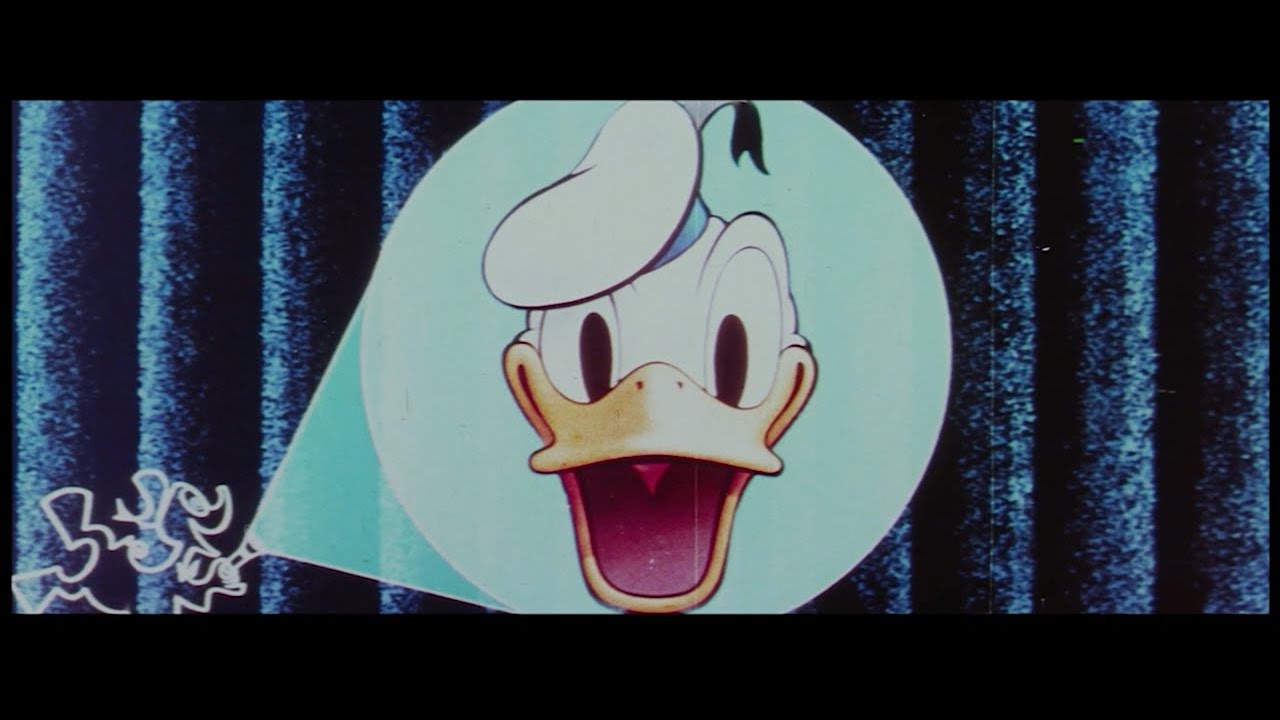 Donald Duck – No Hunting (1955) – original RKO Cinemascope titles - YouTube