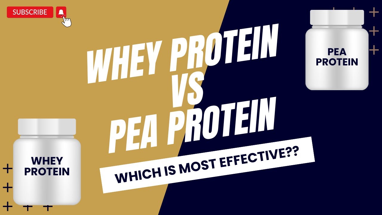 Whey Protein vs Pea Protein - YouTube