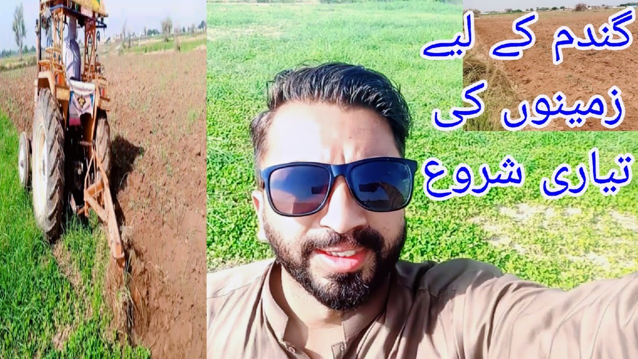 Gandum klye zamen ki tyari shuru / Raja hal ki zrort or time #farming # ...