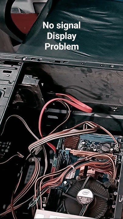 No Signal Display Problem SOLVED! Computer Repair #shorts #shortsfeed - YouTube