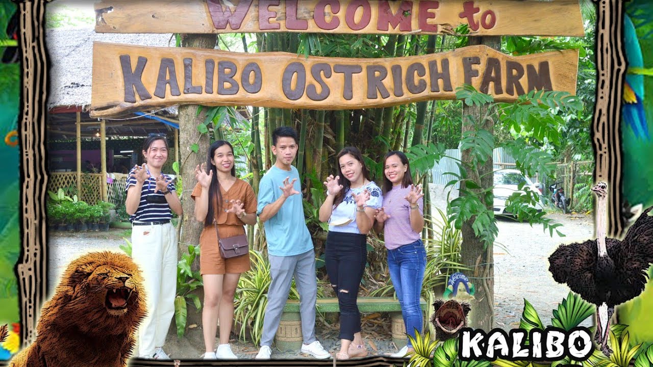 Ostrich Farm Kalibo, Aklan | Reyno - YouTube