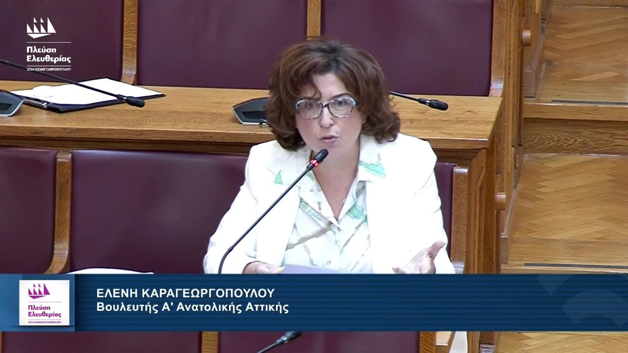 Έλενα Καραγεωργοπούλου: Επιτροπή Δημόσιας Διοίκησης, Δημόσιας Τάξης και ...