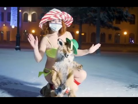 Group of people hold 'bikini party' at -39°C in Siberia; video goes viral | Really News