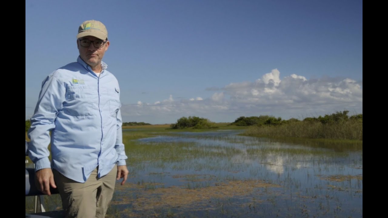 The Everglades Foundation - Wetlands Day Interview with Dr. Steve Davis ...