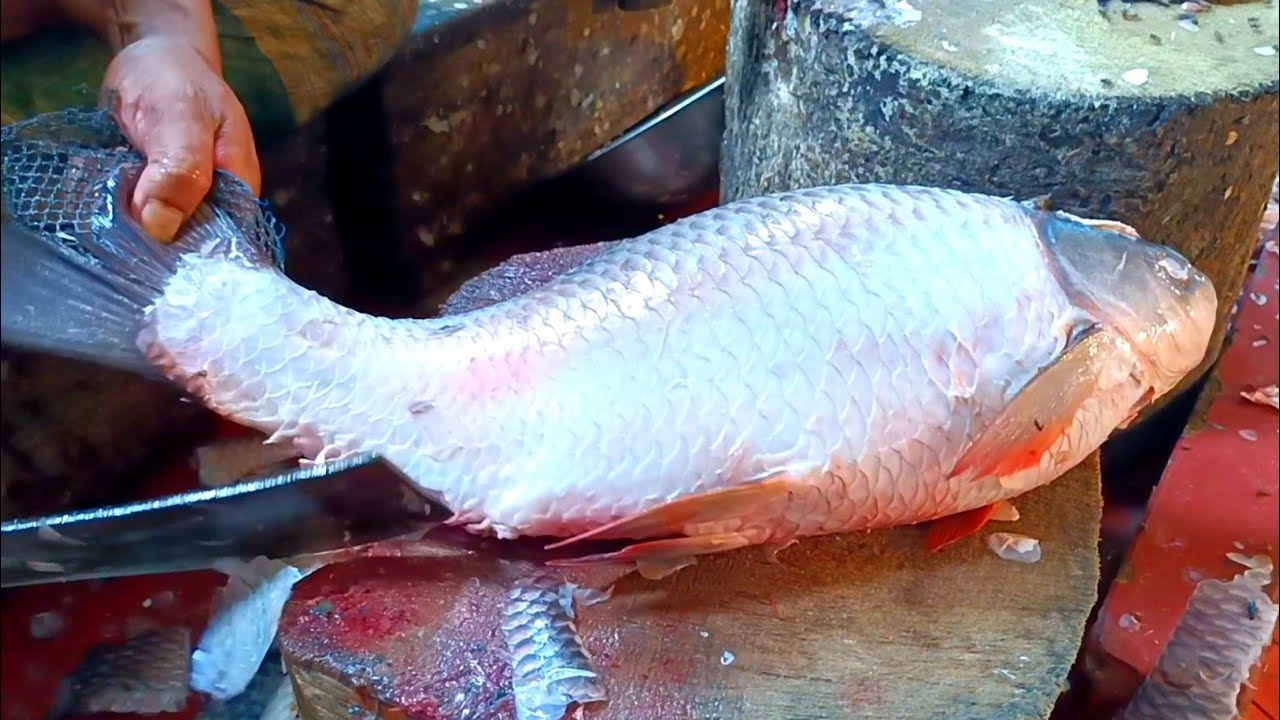 Amazing Fish Skin Remove & Cutting Skills | New Fish Cutting Videos ...