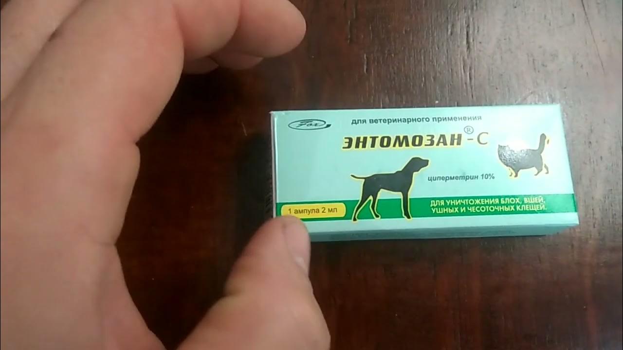 Энтомазан. - YouTube