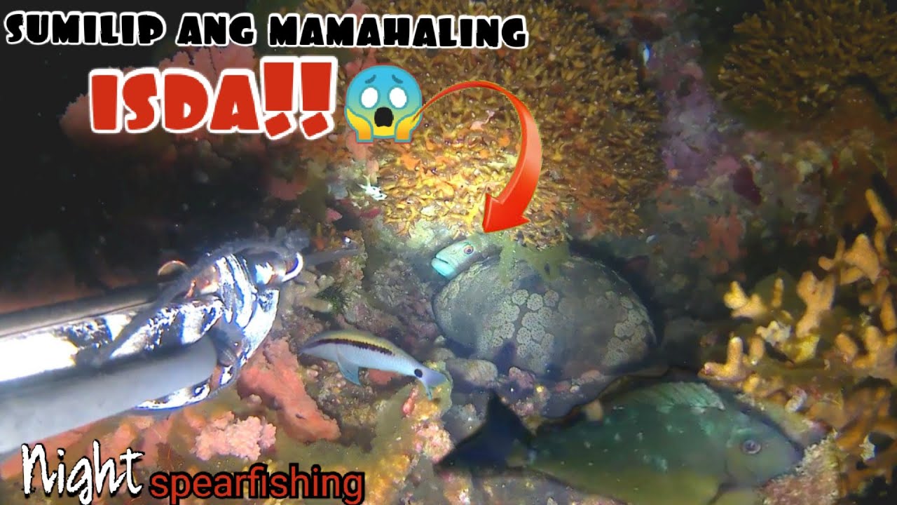 Sumilip Ang Mamahaling Isda | Night Spearfishing Adventure | Episode 42 ...