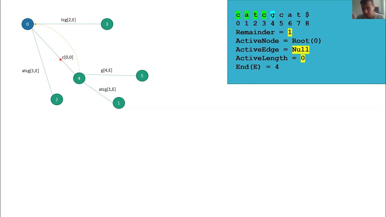Suffix Tree Construction Using Ukkonen's Algorithm - YouTube