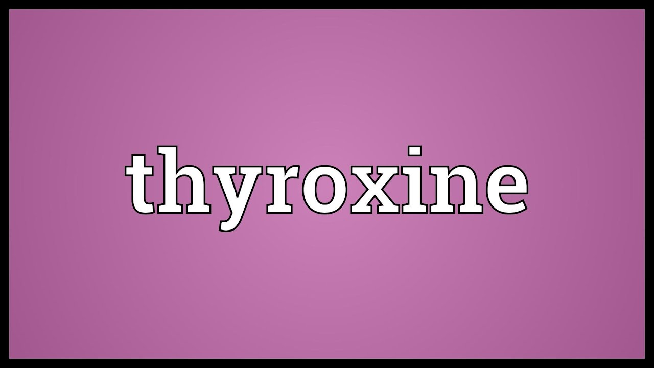thyroxine-meaning-youtube