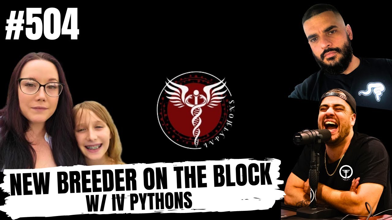 INVESTING WITH THE RIGHT BALL PYTHON BREEDER | NEW BREEDER ON THE BLOCK ...