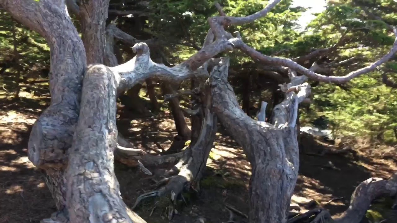 Alaskan Yeti Hunter S01 E01 - YouTube