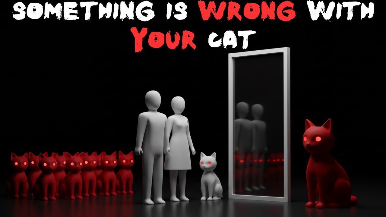 Pet Cat – Analog Horror - YouTube