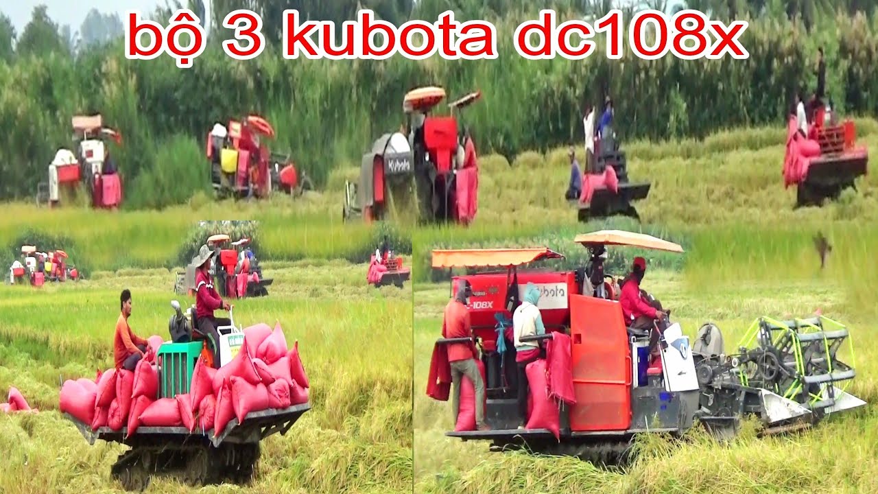 QUAY BỘ BA MÁY CẮT LÚA KUBOTA DC108X PHƯỢT ĐỒNG VỈNH THUẬN LÚA SẬP DẺO - YouTube