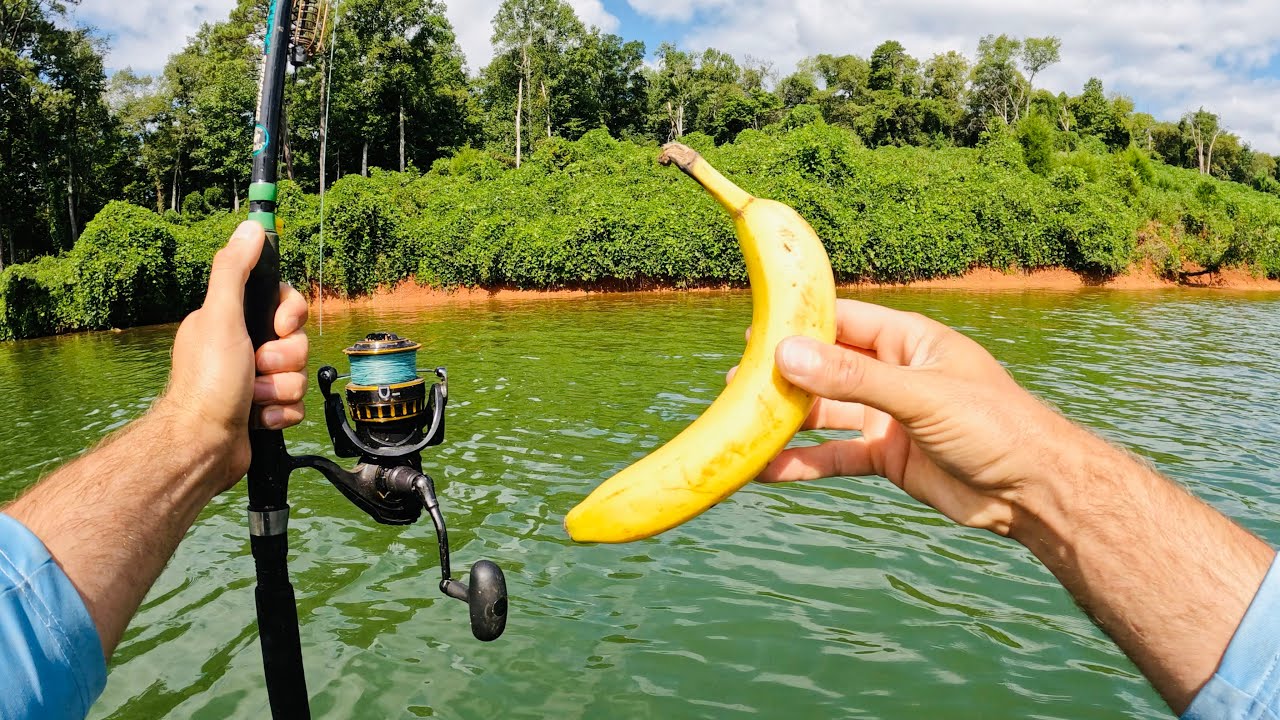 4 Hours of RAW and UNCUT Kayak Carp Fishing with Bananas and Worms on ...