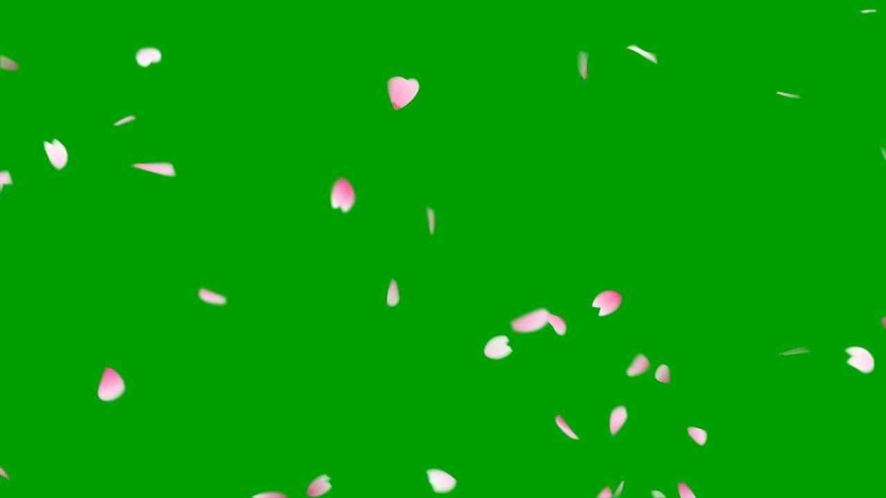 Petals Falling Green Screen Video Effects HD @satishdesigngraphy - YouTube